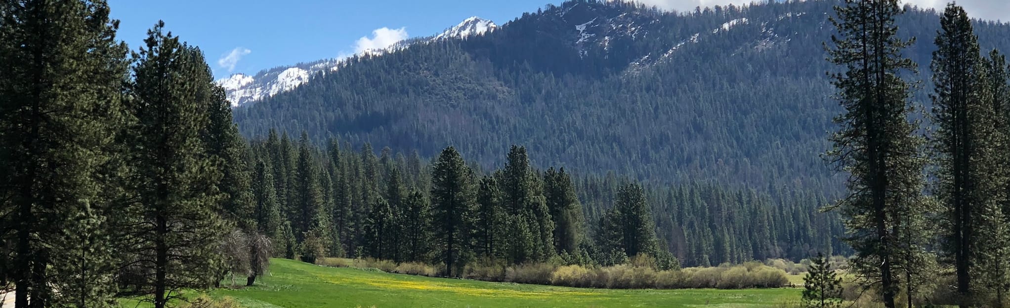 Wawona Meadow Loop Trail, California - 837 Reviews, Map | AllTrails