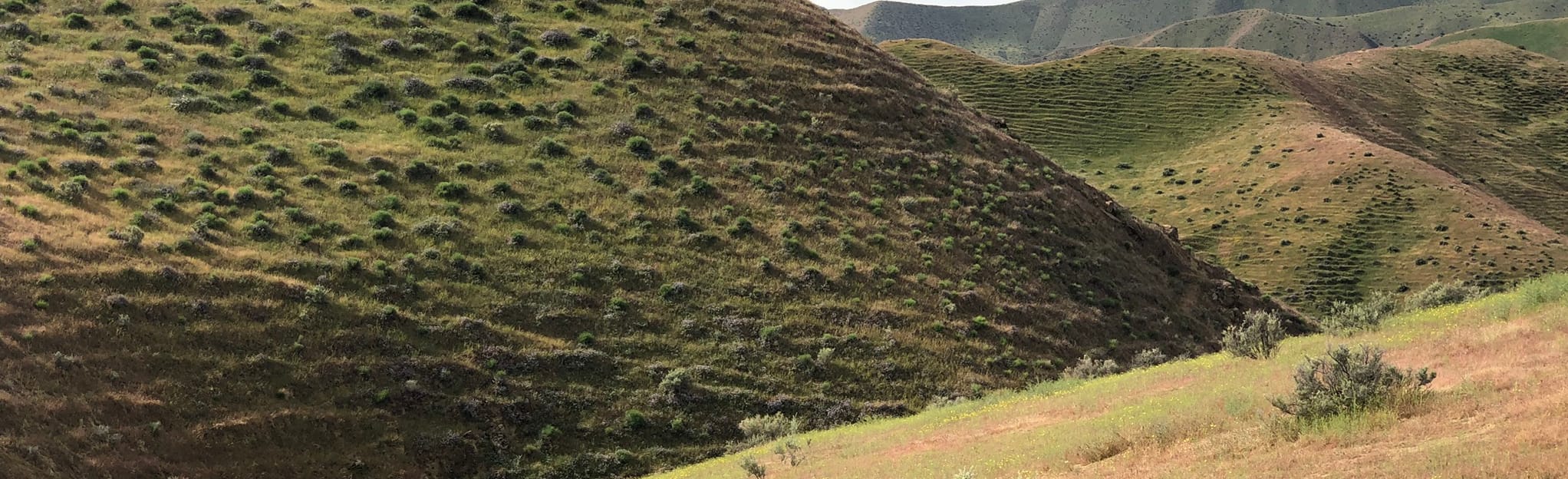 Tumey Hills Loop, California - 24 Reviews, Map | AllTrails