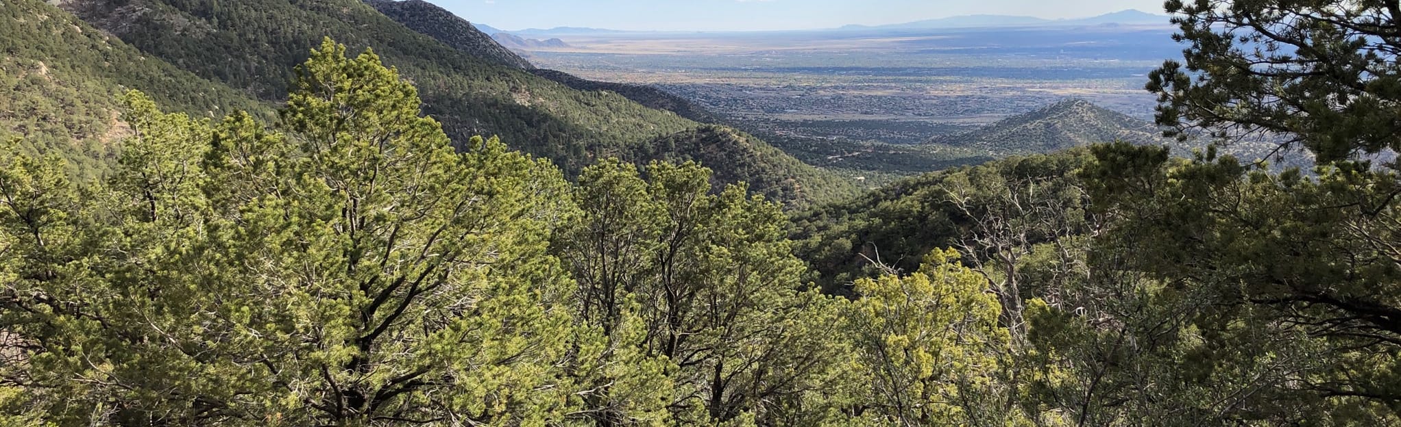 Rincón High Point via Piedra Lisa Trail #135 | Map, Guide - New Mexico ...