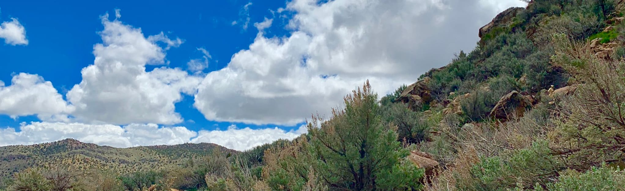 Parowan Gap Petroglyphs Trail, Utah - 153 Reviews, Map | AllTrails