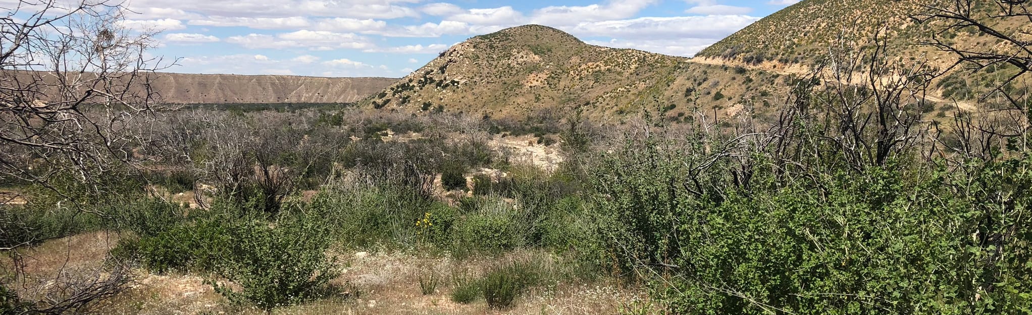 Mojave Dam To Silverwood Dam: 53 Reviews, Map - California | AllTrails