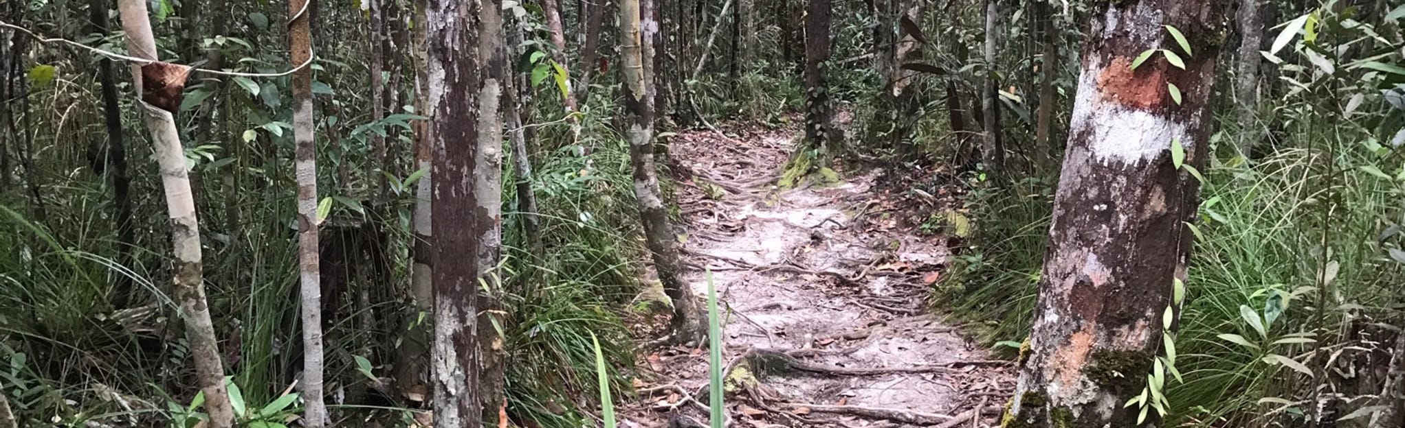 Tanjung Rhu: 0 Reviews, Map - Sarawak, Malaysia | AllTrails