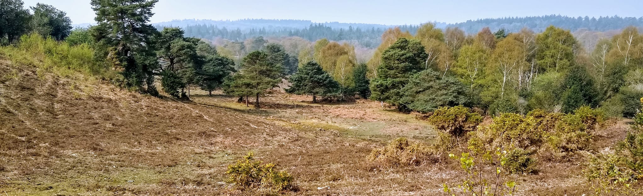 Acres Down Circular, Hampshire, England - 32 Reviews, Map | AllTrails