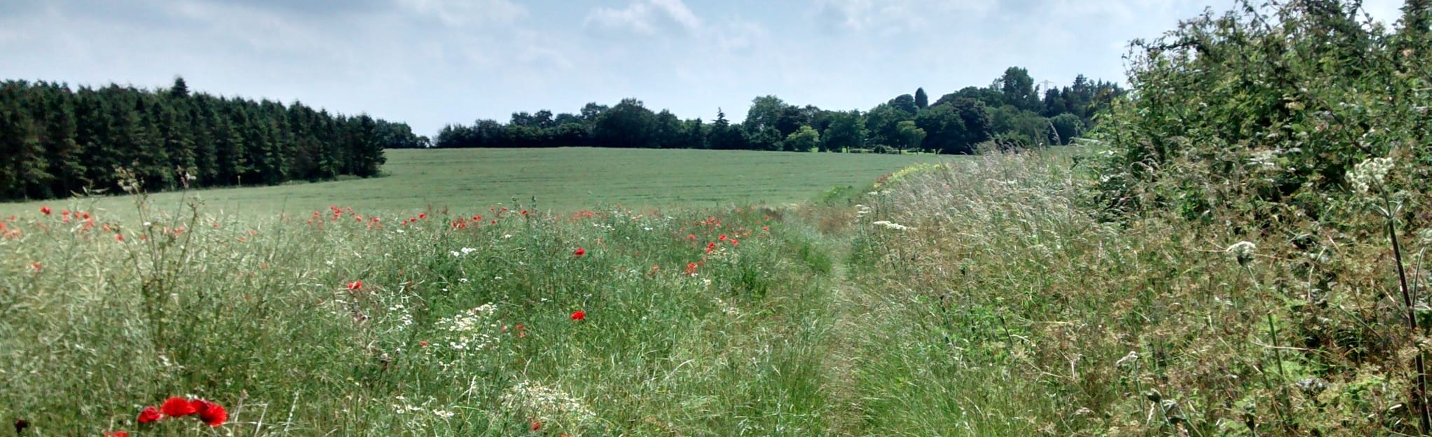 Pattingham Circular: 20 Reviews, 73 Photos, Map - Staffordshire ...