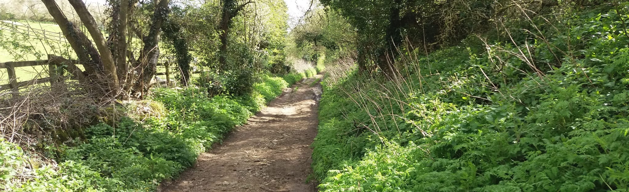 Finstock and Wychwood Way: 95 Reviews, Map - Oxfordshire, England ...