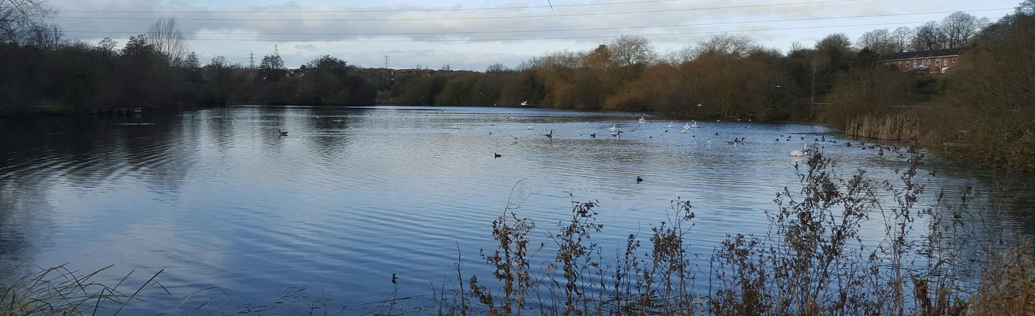 Anton Lakes Family Trail, Hampshire, England - 55 Reviews, Map | AllTrails