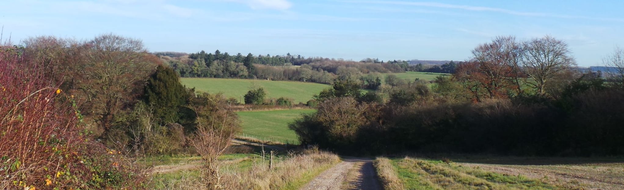 Up Marden Circular Walk, West Sussex, England - 27 Reviews, Map | AllTrails