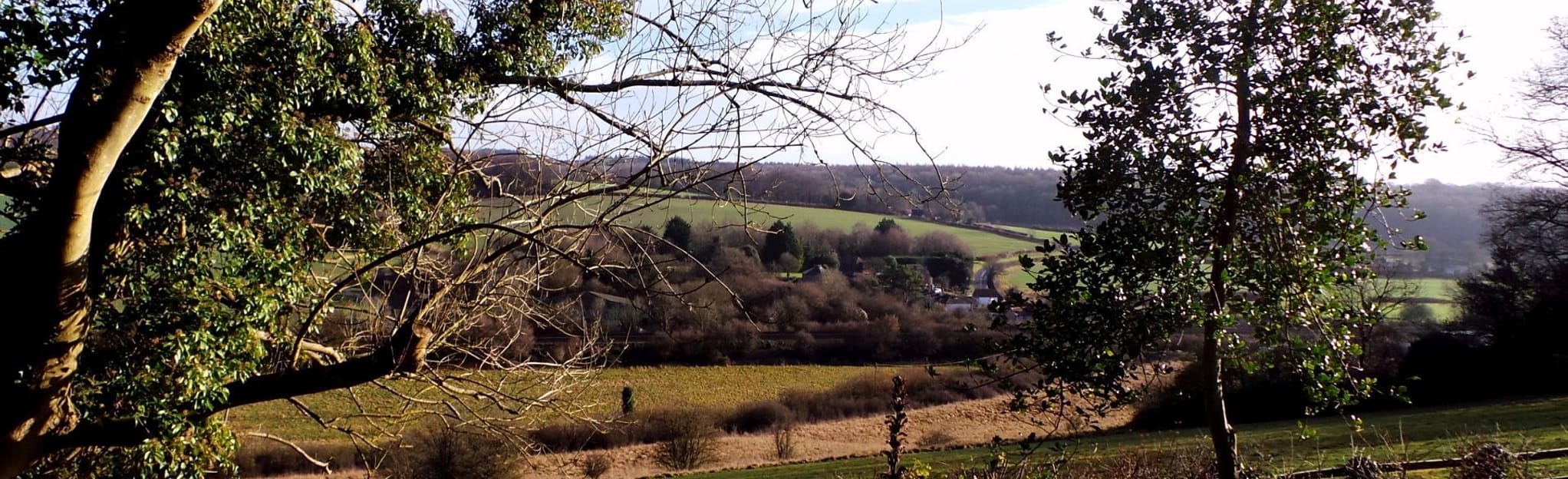 Rowlands Castle and Finchdean Circular, Hampshire, England - 194 ...