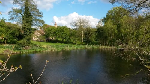 Best 10 Hikes and Trails in Dedham Vale Area of Outstanding Natural ...