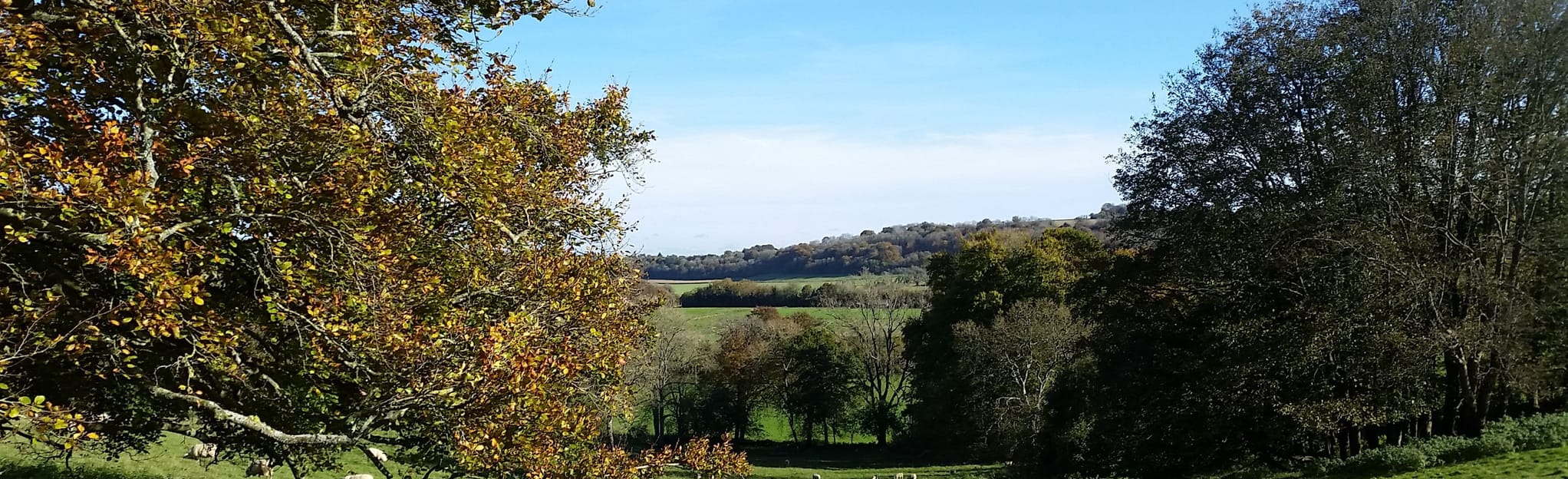 Compton Northern Circuit: 78 Fotos - West Sussex, England | AllTrails