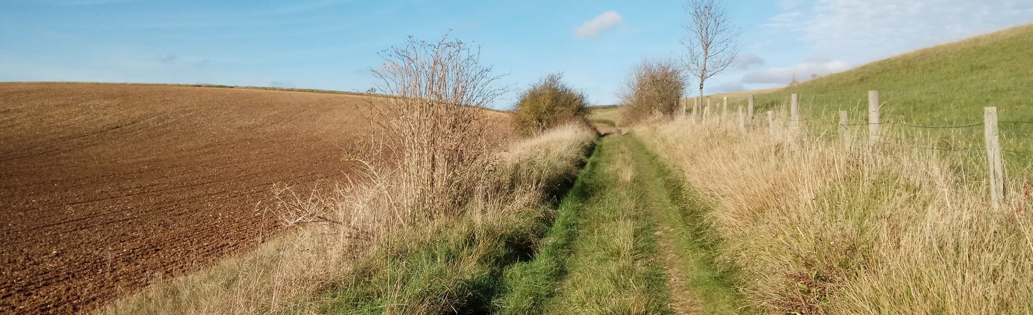 Chilson Circular, Oxfordshire, England - 36 Reviews, Map | AllTrails