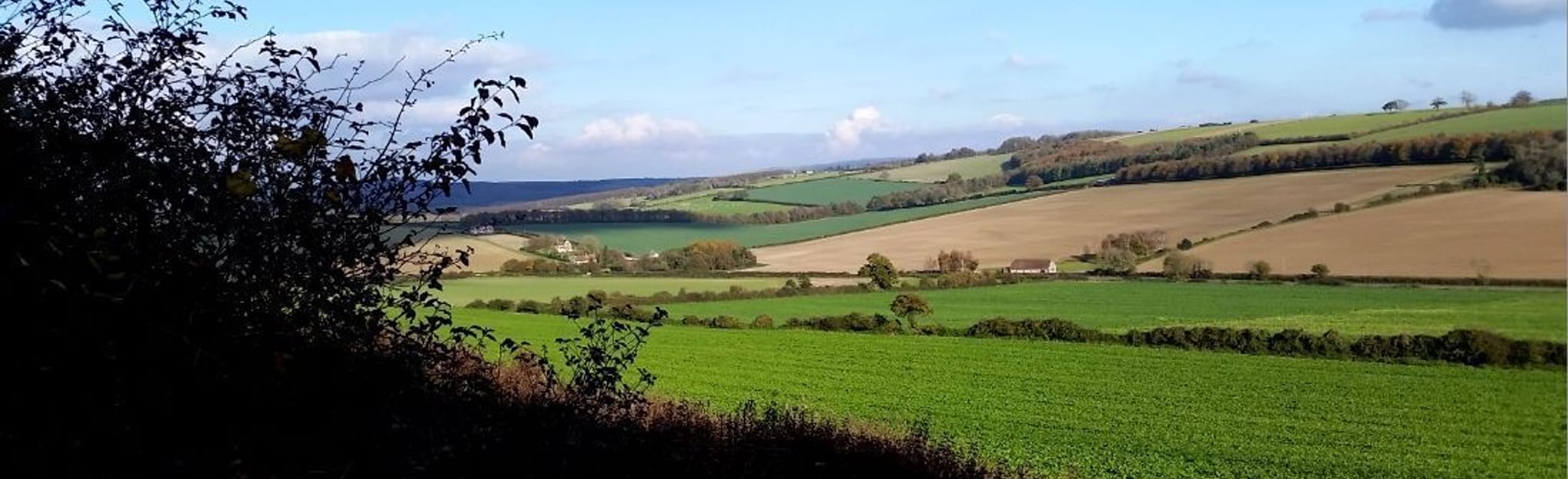 Binderton and Kingley Vale: 93 Fotos - West Sussex, England | AllTrails