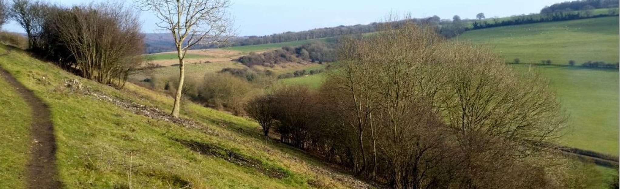 Levin Down Circular: 153 foto's - West Sussex, Engeland | Wandelen ...