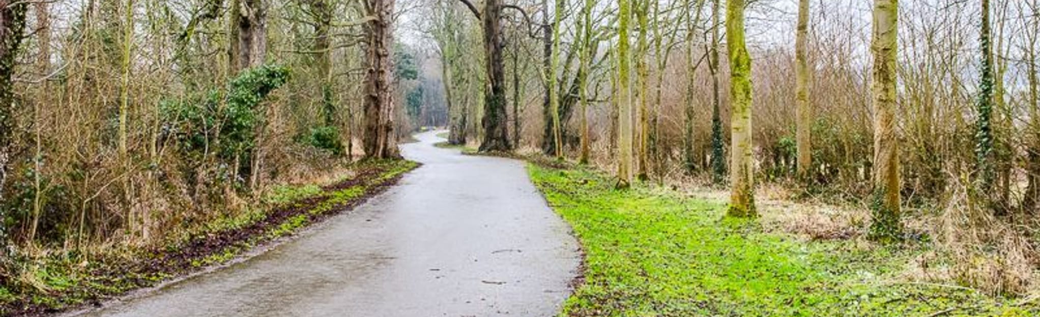 Nocton and Car Dyke Walk: 126 Reviews, Map - Lincolnshire, England ...