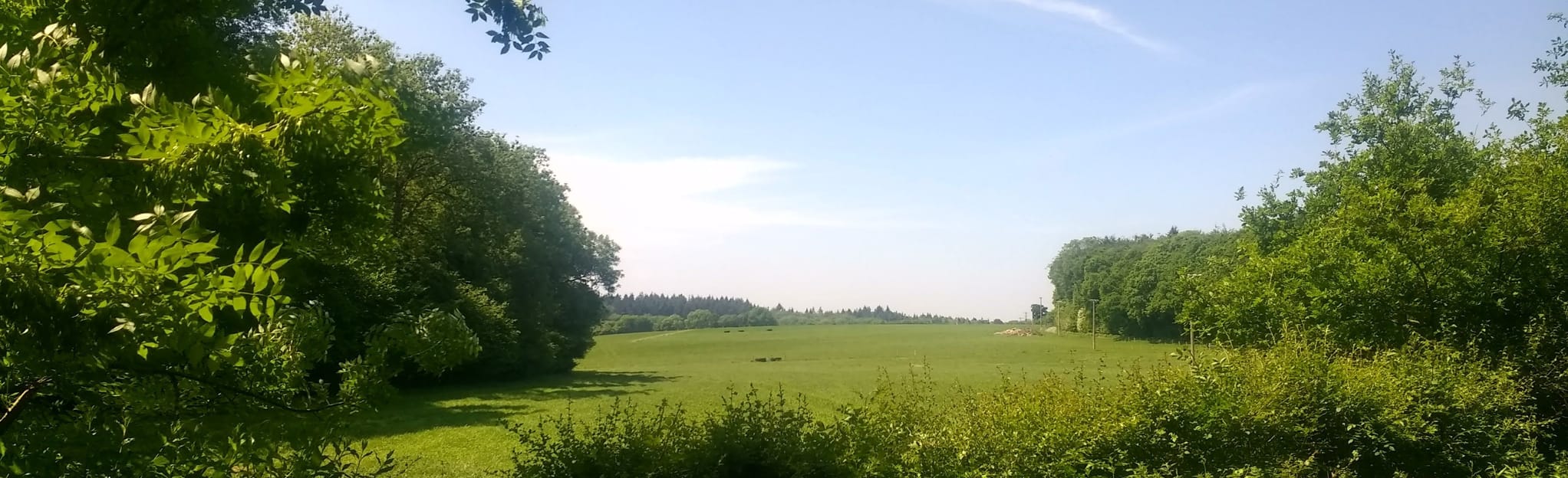 Stoke Park Woods and Upper Barn Copse Circular: 238 Reviews, Map ...