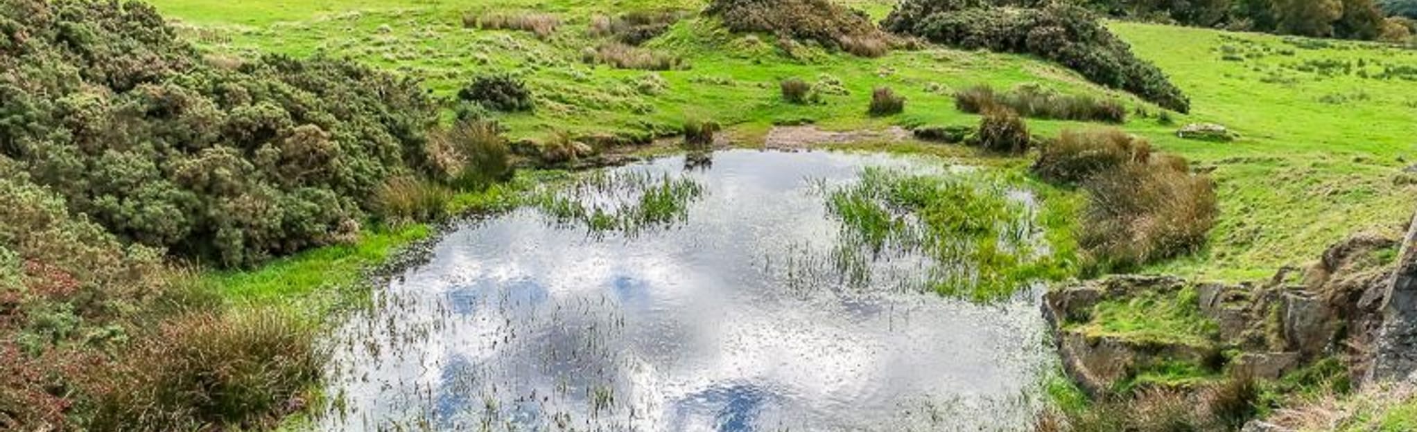 The Clog, Billycock and Alum Scar Walk: 346 foto's - Lancashire ...
