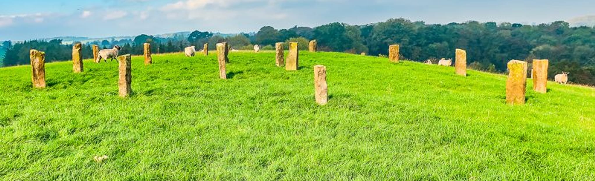 The Bull and Broughton Hall Estate Walk: 79 Reviews, Map - North ...