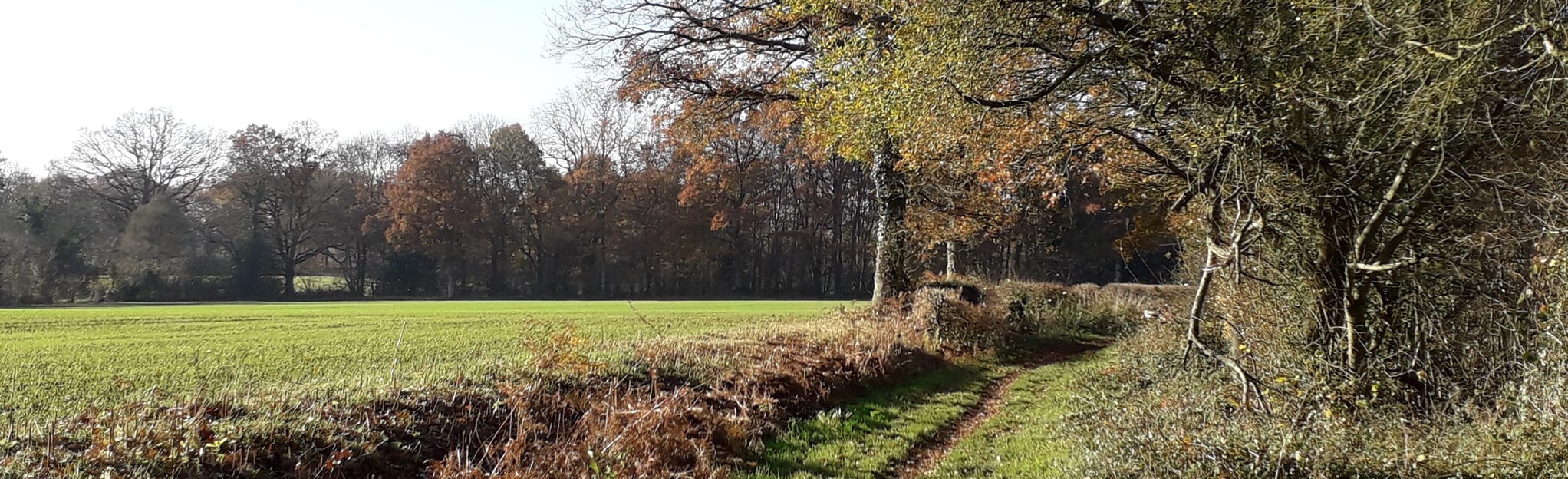 Ashford Hill and Baughurst Circular, Hampshire, England - 103 Reviews ...