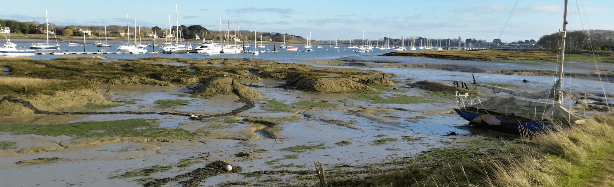 Itchenor Circular, West Sussex, England - 184 Reviews, Map | AllTrails