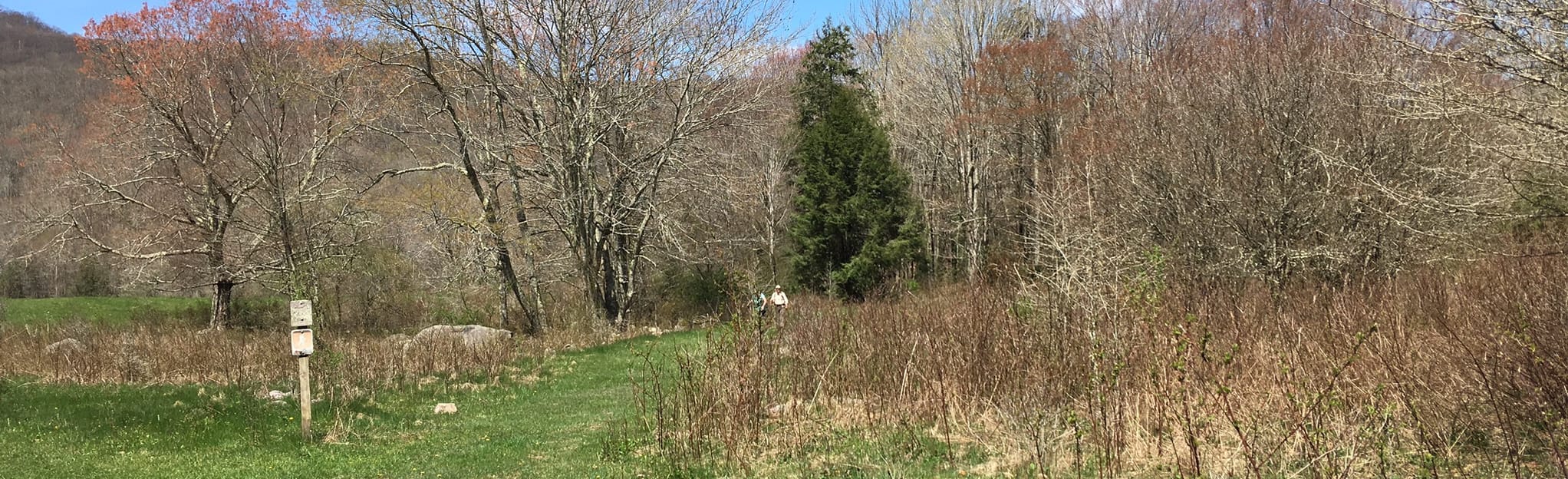 Cliffside Trail: 36 Reviews, Map - Virginia | AllTrails