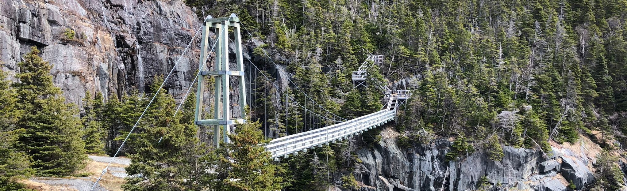 La Manche Suspension Bridge: 398 foto's - Newfoundland en Labrador ...