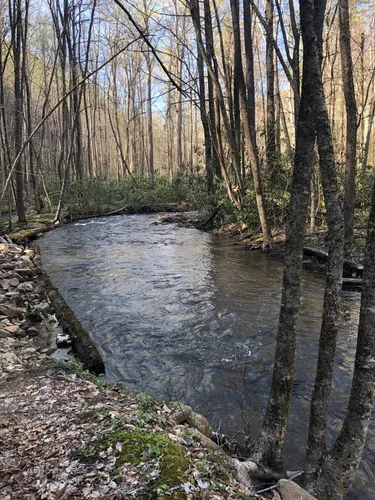 2023 Best River Trails in Sugar Grove | AllTrails