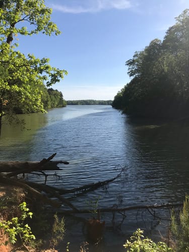 Best 10 Trails in Lake Benson Park | AllTrails