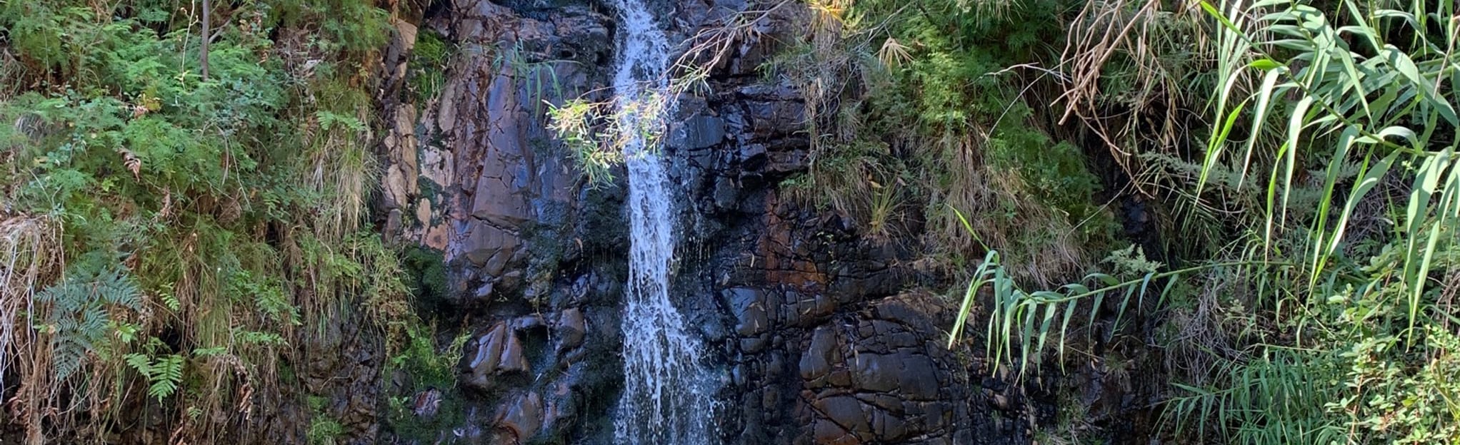 First and Second Falls via Waterfall Gully Trail, South Australia ...