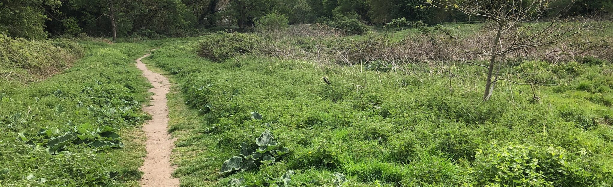 Esher Commons and West End Circular: 231 Reviews, Map - Surrey, England ...