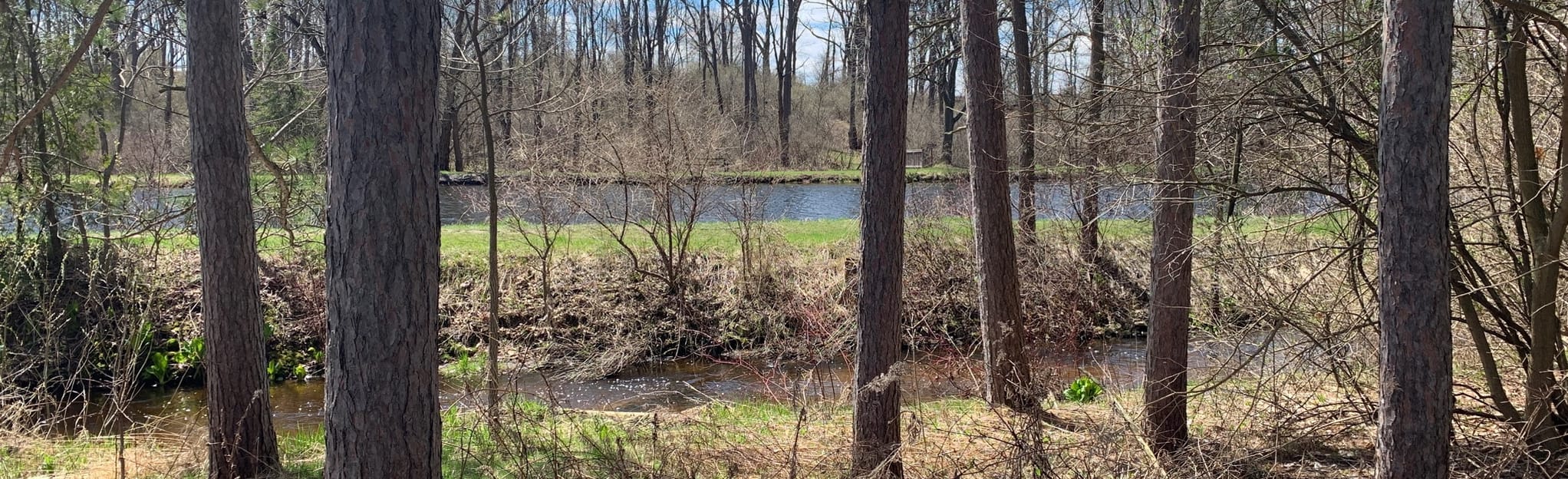 Thompson Trail Loop, Ontario, Canada - 45 Reviews, Map | AllTrails