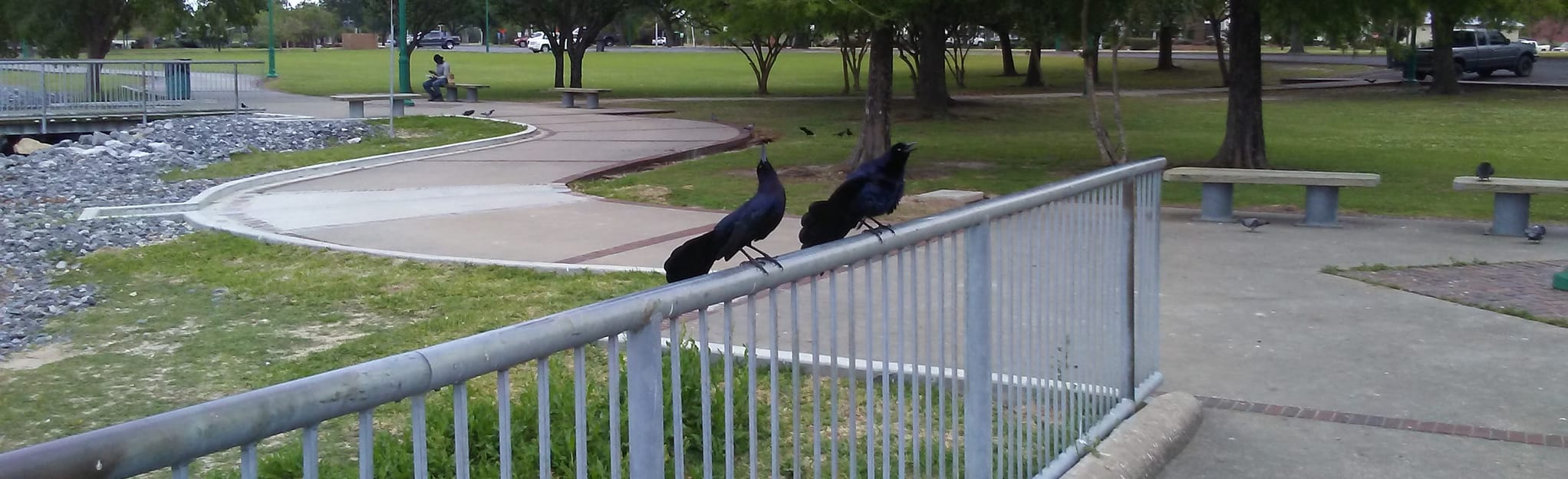 Boardwalk Park Path: 12 Reviews, Map - Louisiana | AllTrails