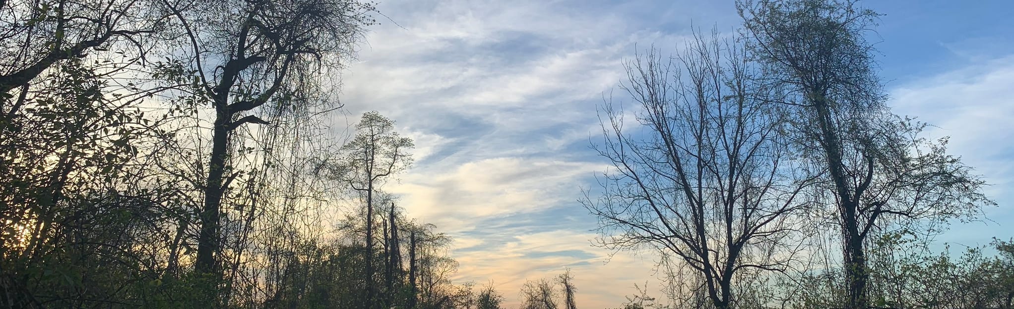 WPP Red And Blue Trail Loop, Pennsylvania - 451 Reviews, Map | AllTrails