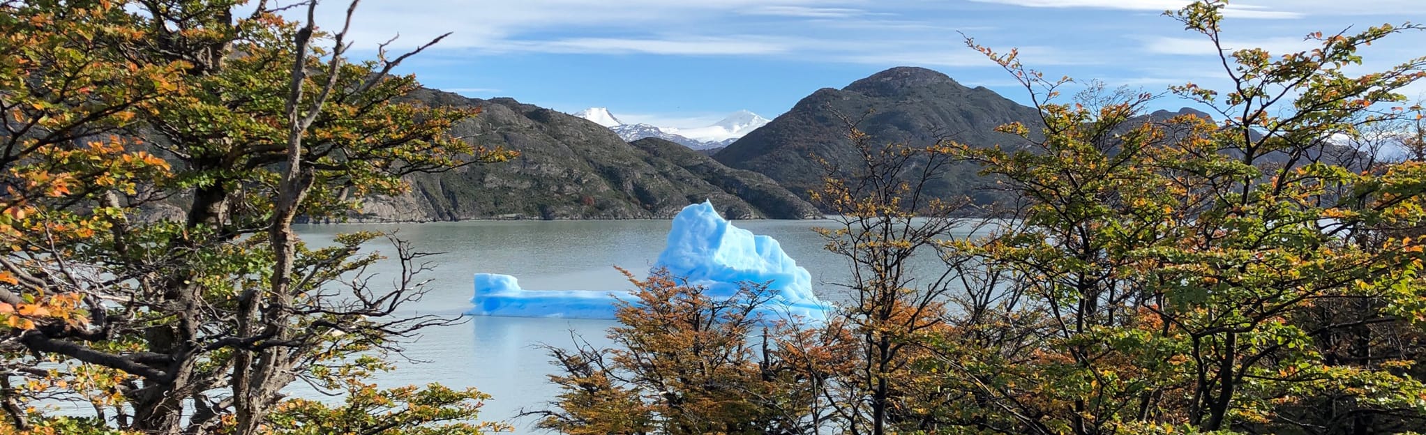 Grey Lake Viewpoint, Magallanes, Chile - 110 Reviews, Map | AllTrails