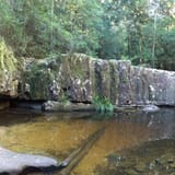 Waitui Falls, New South Wales, Australia - 12 Reviews, Map | AllTrails