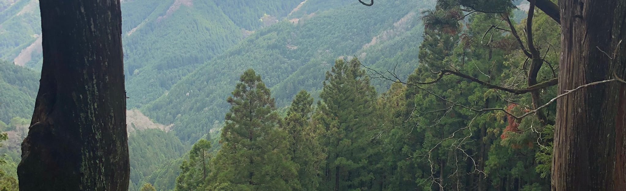 Kumano Kodo: Koyasan - Omata: 12 Reviews, Map - Wakayama, Japan | AllTrails