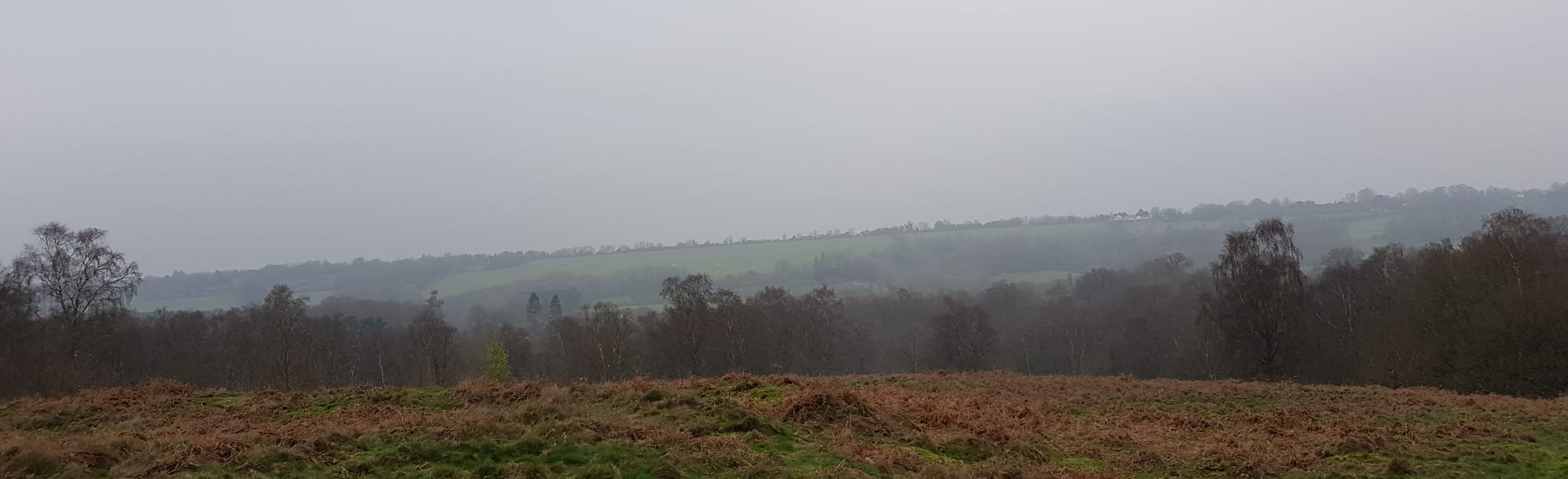 Puttenham Common and the North Downs Way, Surrey, England - 165 Reviews ...