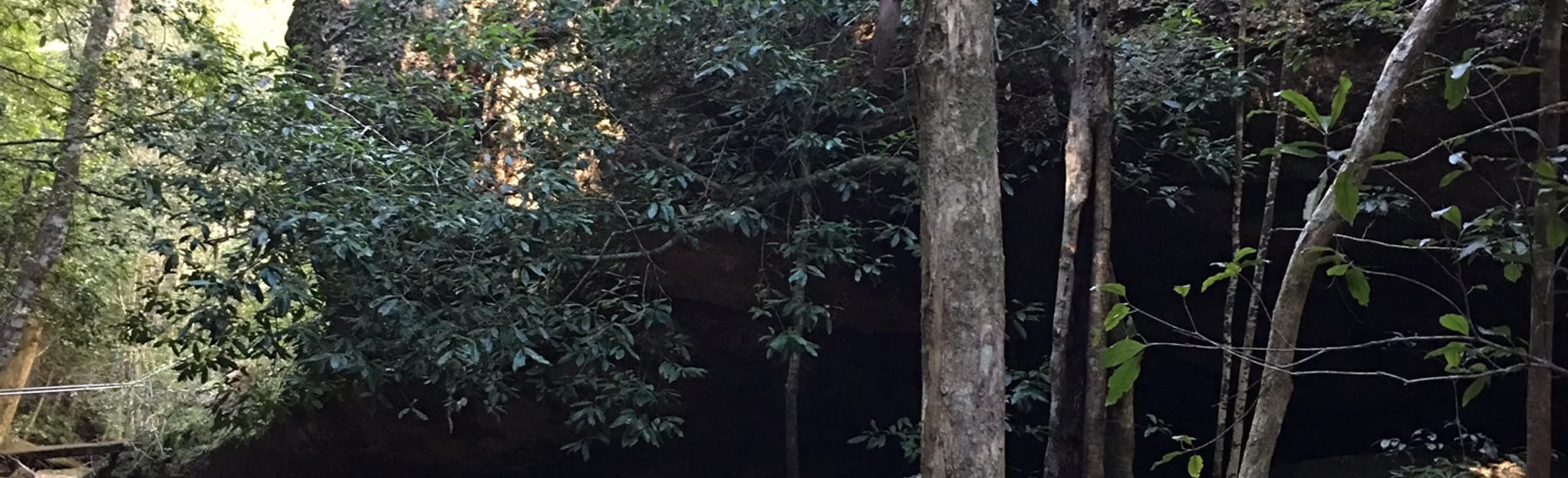 Newby’s Cave Track and Newbys Creek, New South Wales, Australia - 2 ...