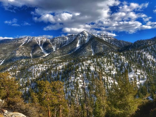 2023 Best 10 Long Trails in Mount Charleston Wilderness | AllTrails