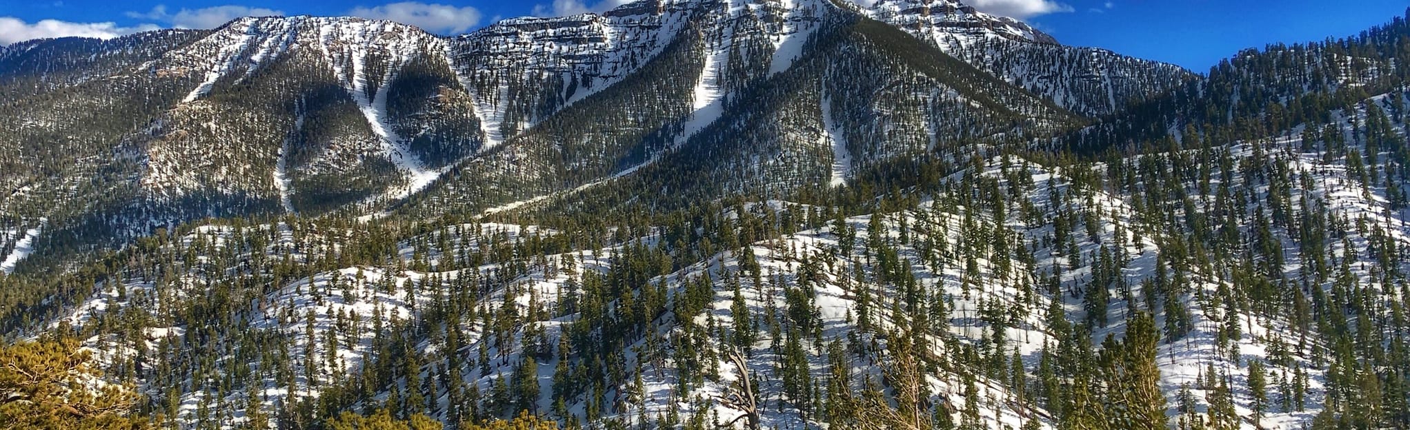 Bonanza Trail (Spring Mountains Divide Trail), Nevada - 35 Reviews, Map ...