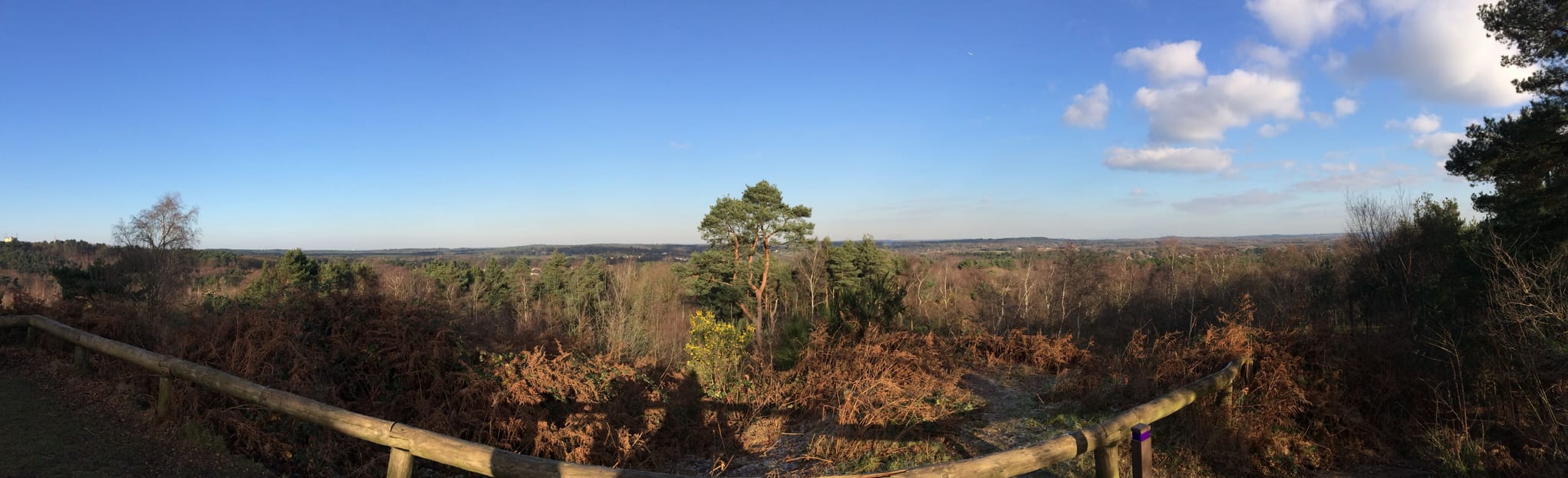 Lightwater Country Park Circular Walk : 113 Photos - Surrey, Angleterre ...