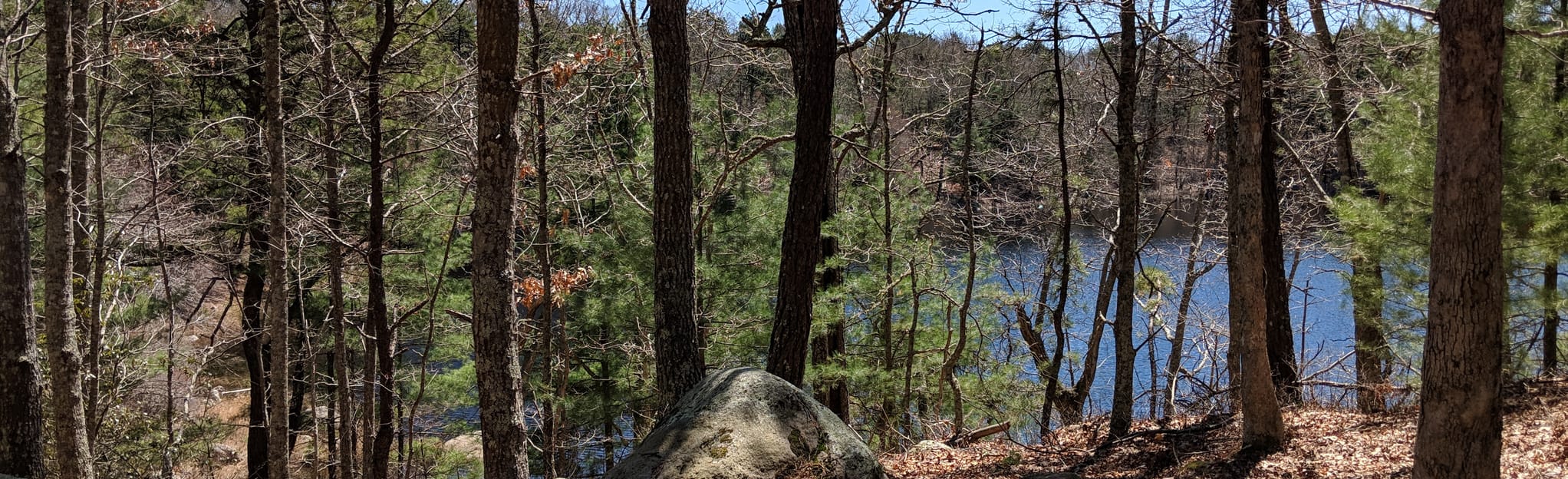 Duval Trail, Rhode Island - 668 Reviews, Map | AllTrails