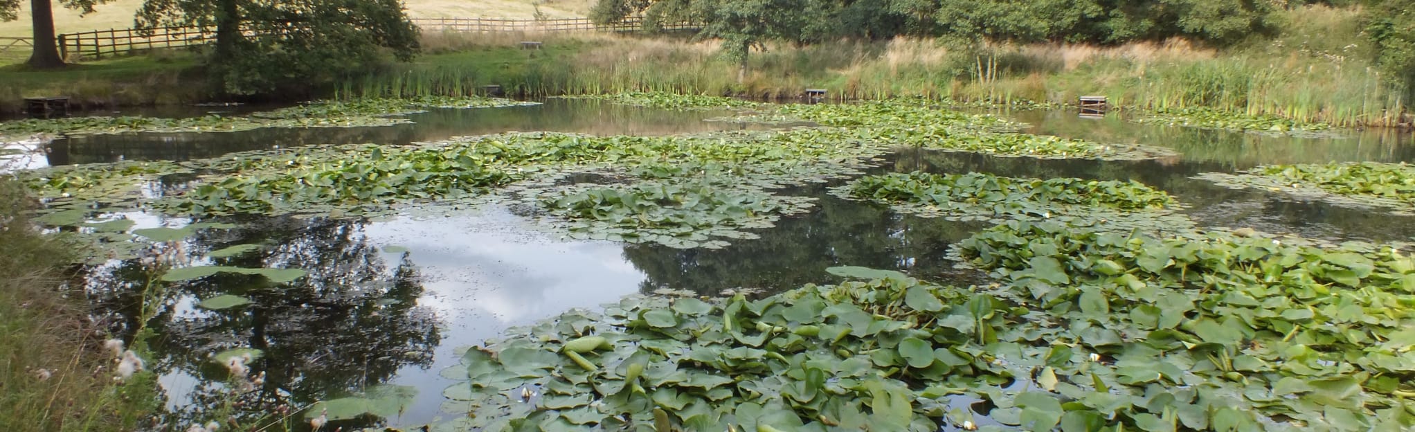 5 Pits Trail and Hardwick Hall Circular Walk: 211 foto's - Derbyshire ...