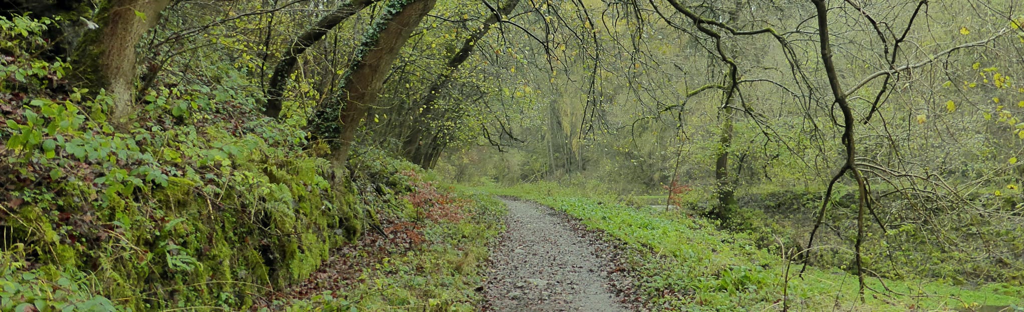 Youlgreave and Lathkill Dale Circular: 97 Reviews, Map - Derbyshire ...