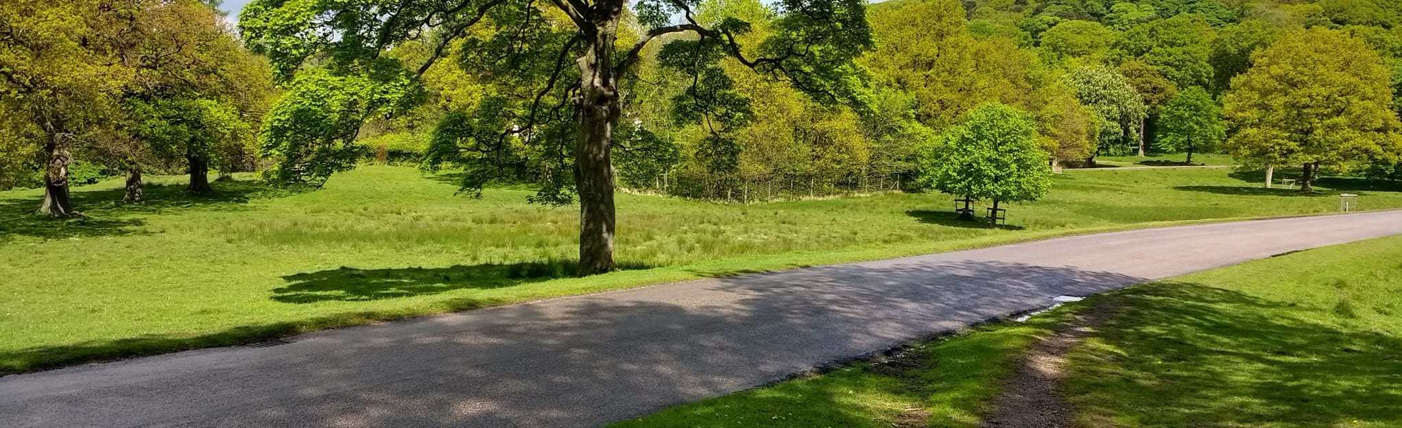 Lyme Park and Higher Poynton Circular: 613 foto's - Greater Manchester ...