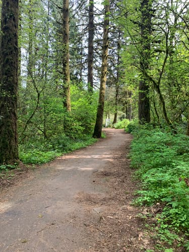 Best Hikes and Trails in Magness Memorial Tree Farm | AllTrails