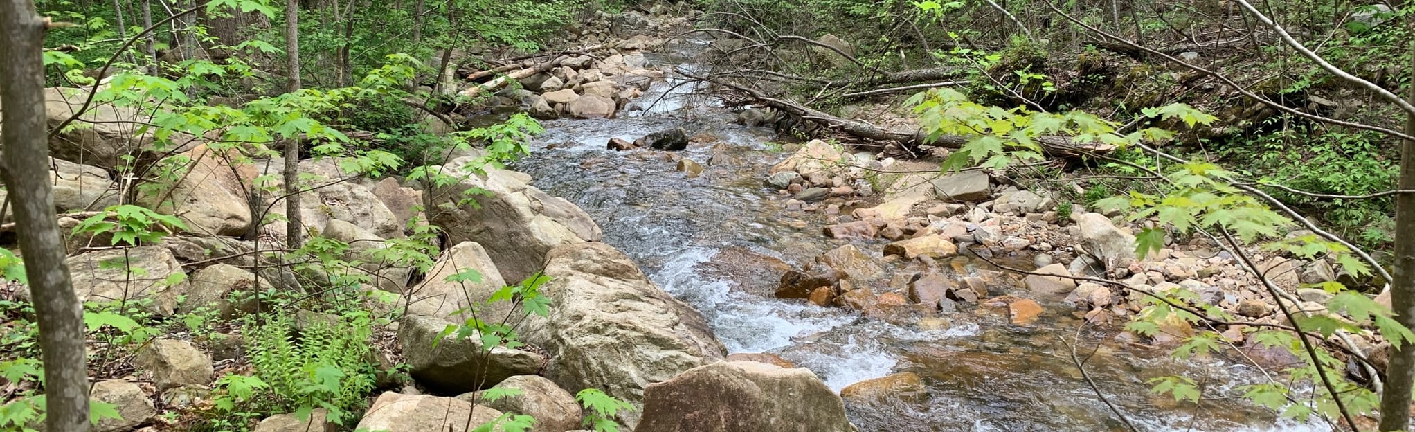 Mary’s Falls via Phillips and Artie Hollow Trails | Map, Guide ...