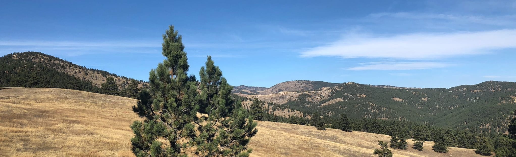 Canyon Loop: 1108 Reviews, Map - Colorado | AllTrails