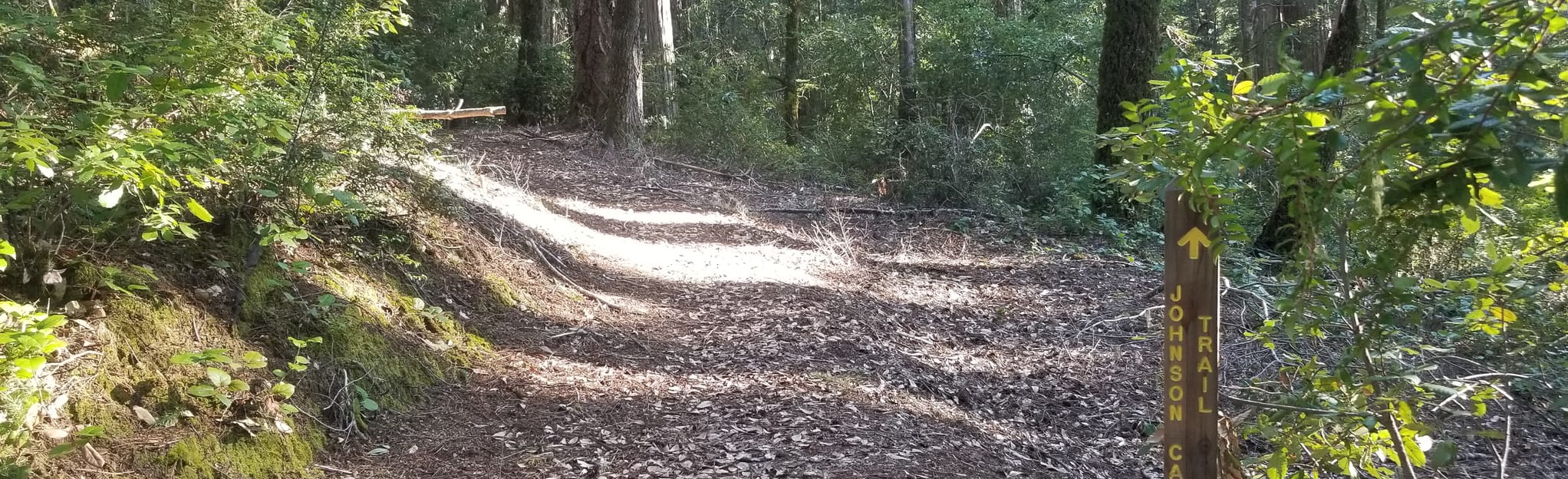 Johnson Camp Trail, California - 22 Reviews, Map | AllTrails
