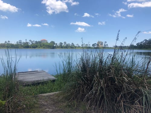 Best 10 Hikes and Trails in Gulf State Park | AllTrails