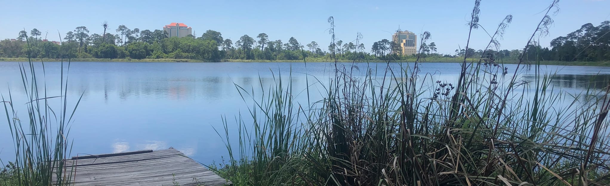 Cotton Bayou, Rosemary Dunes, and Catman Loop: 268 Reviews, Map ...